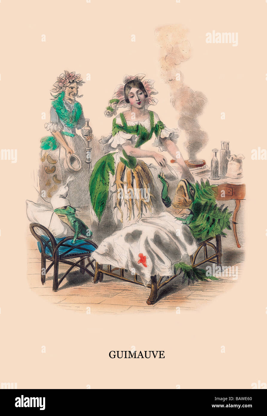 Guimauve hi-res stock photography and images - Alamy