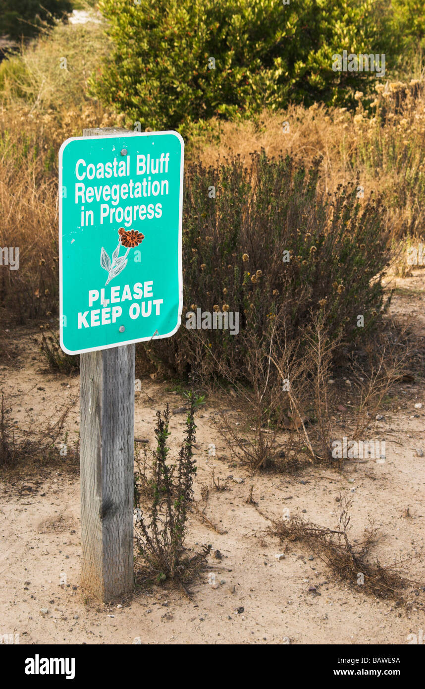 Native revegetation hi-res stock photography and images - Alamy