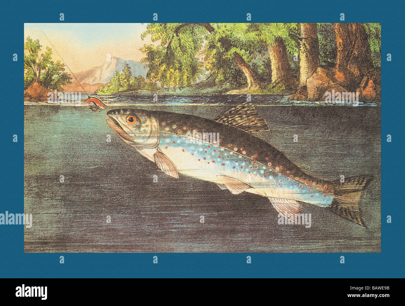 Lured hi-res stock photography and images - Alamy