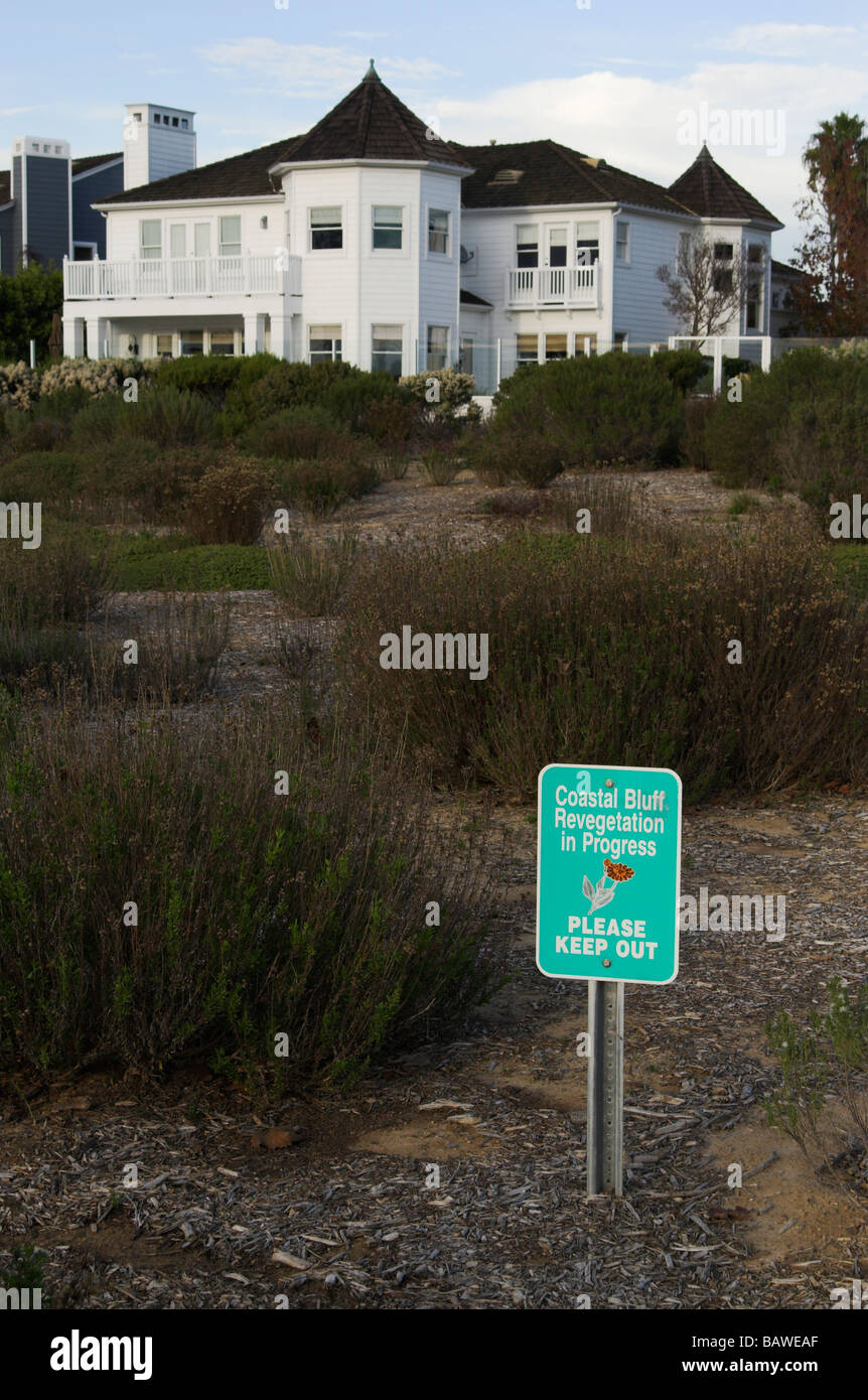 Native revegetation hi-res stock photography and images - Alamy