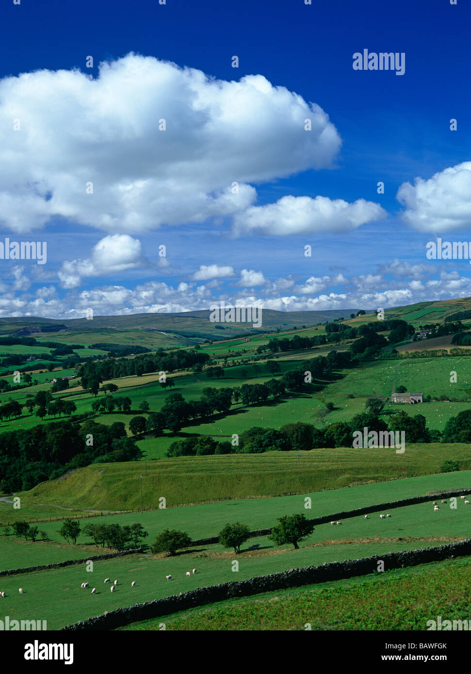 Weardale near Stanhope, North Pennines AONB, County Durham Stock Photo ...