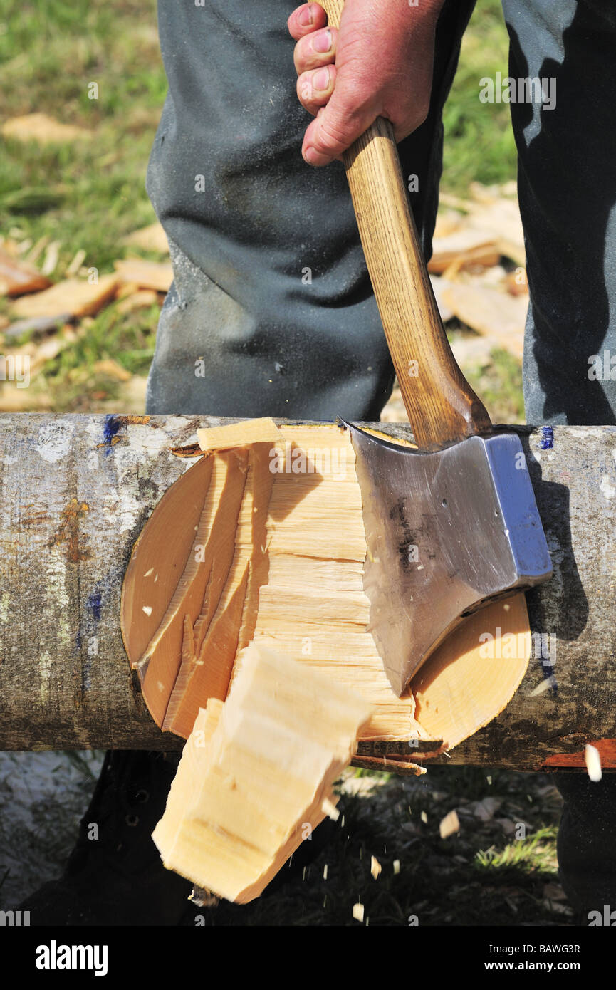 Action close up of the head of an axe, chopping through a beech log ...