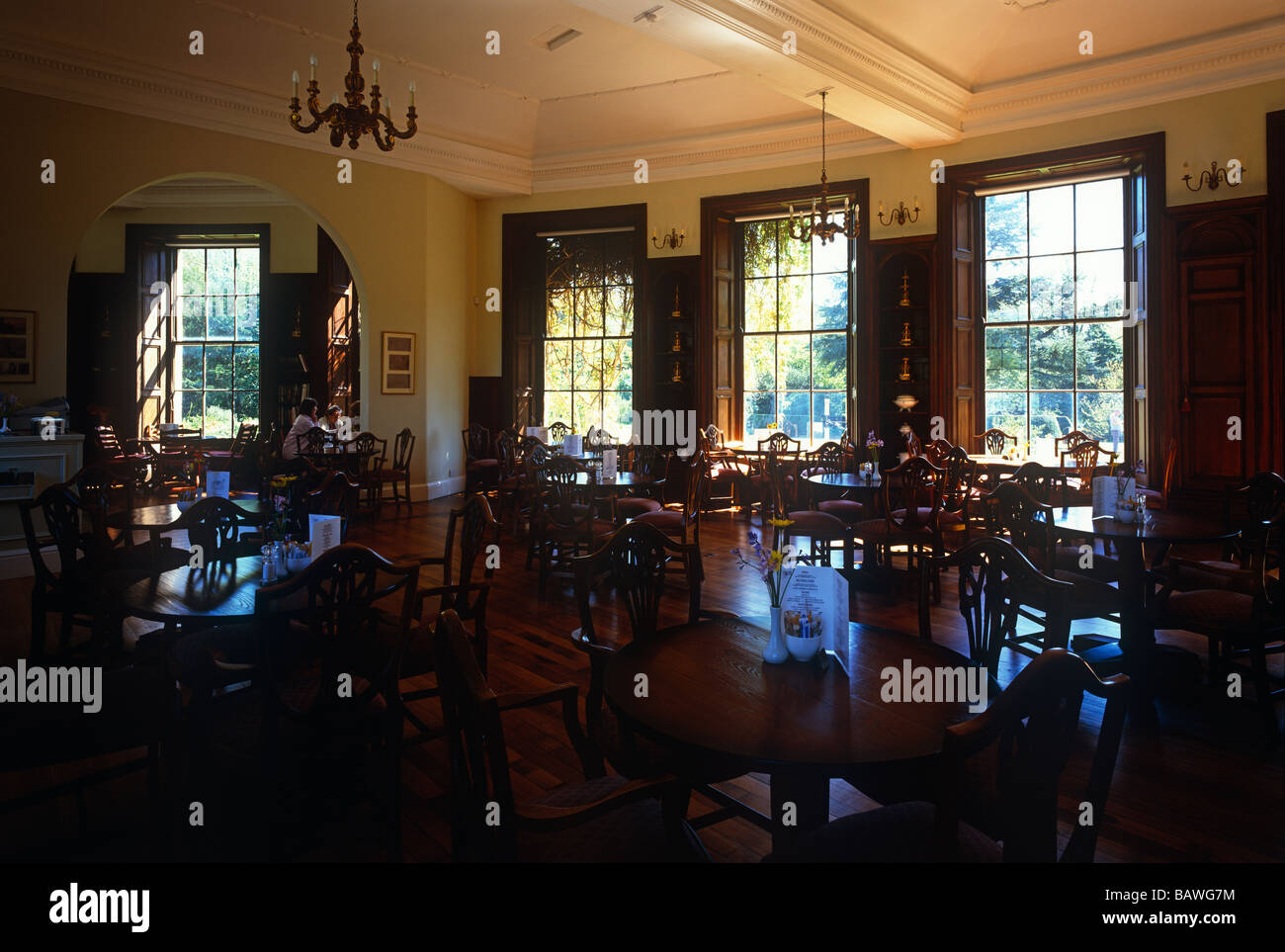 Howick hall and gardens hi-res stock photography and images - Alamy