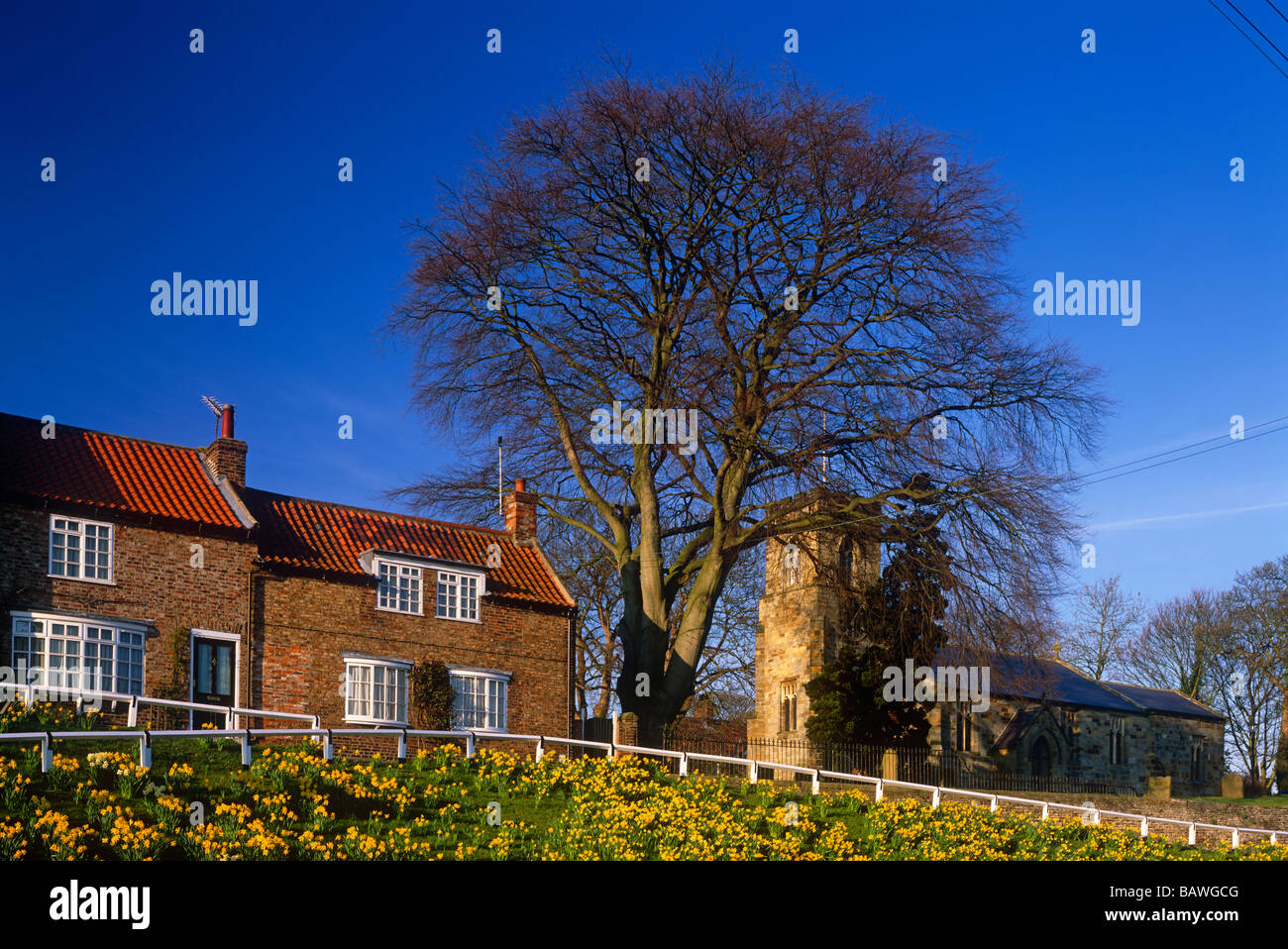Stillington Village, North Yorkshire Stock Photo - Alamy
