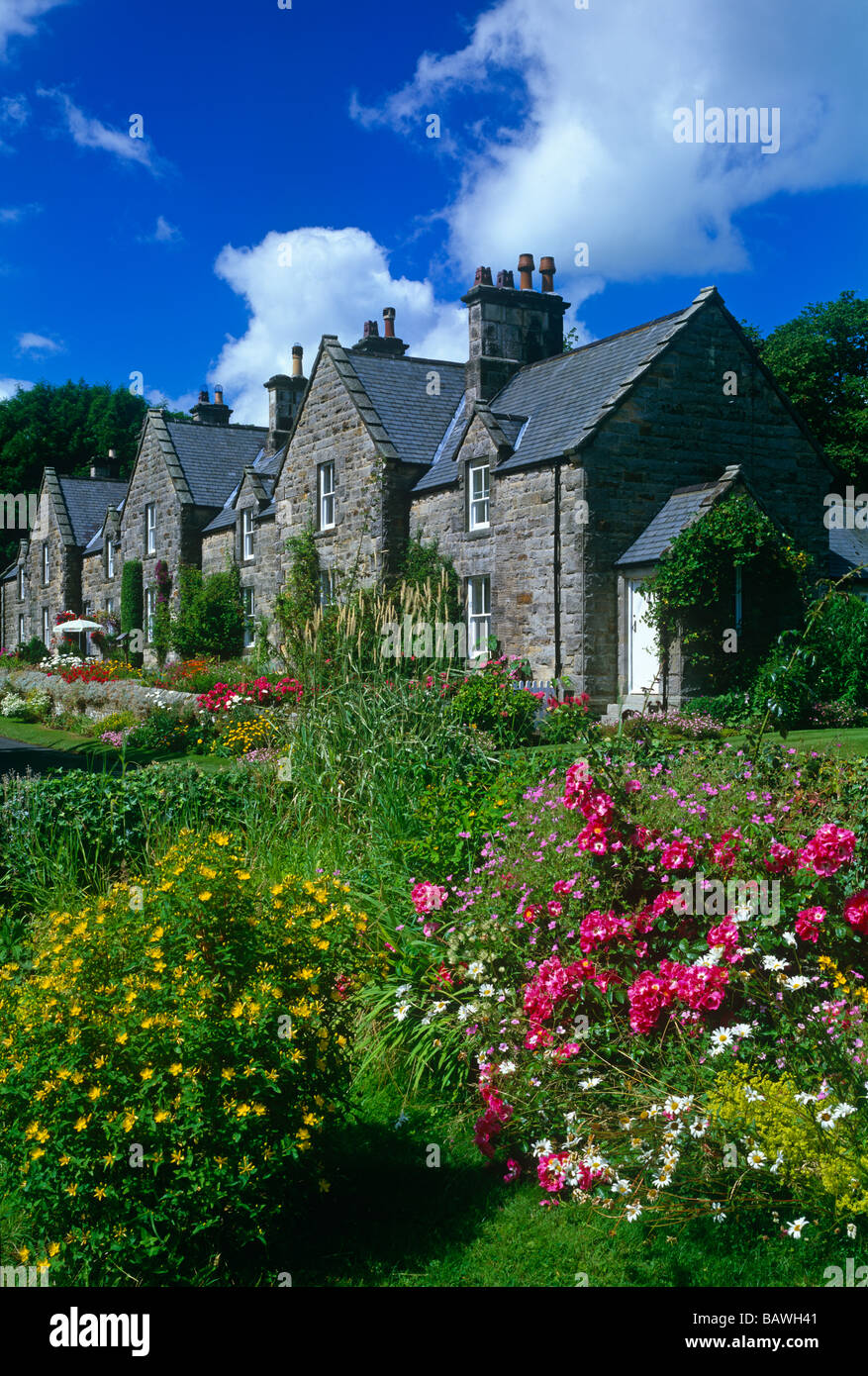 Cambo Village, Cambo, Northumberland Stock Photo - Alamy