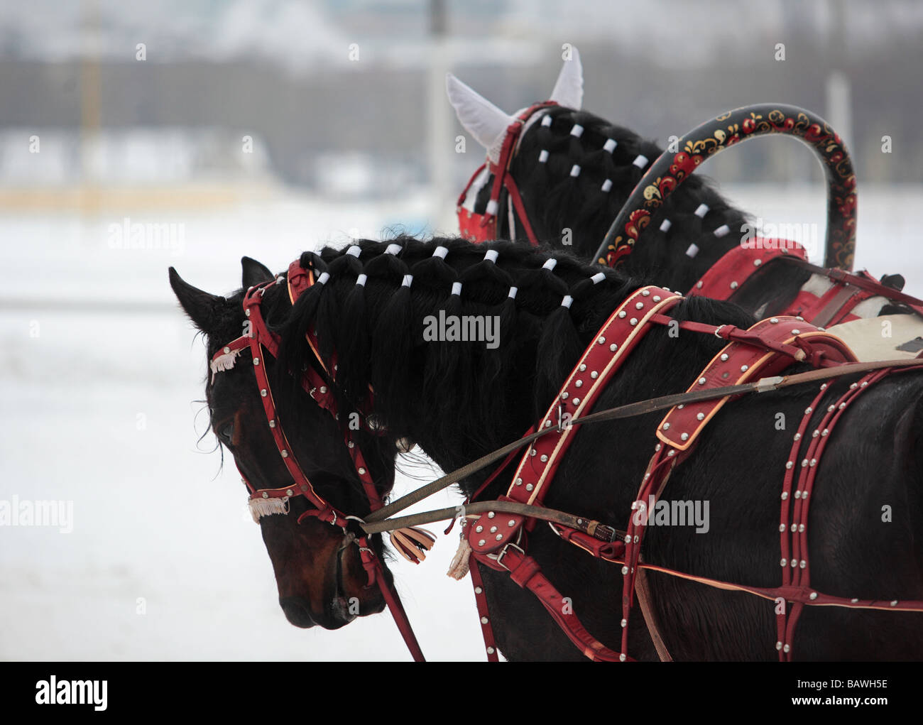 Russian Troika High Resolution Stock Photography and Images - Alamy