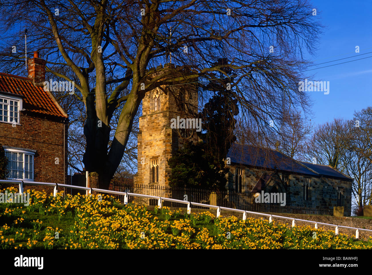 Stillington hi-res stock photography and images - Alamy