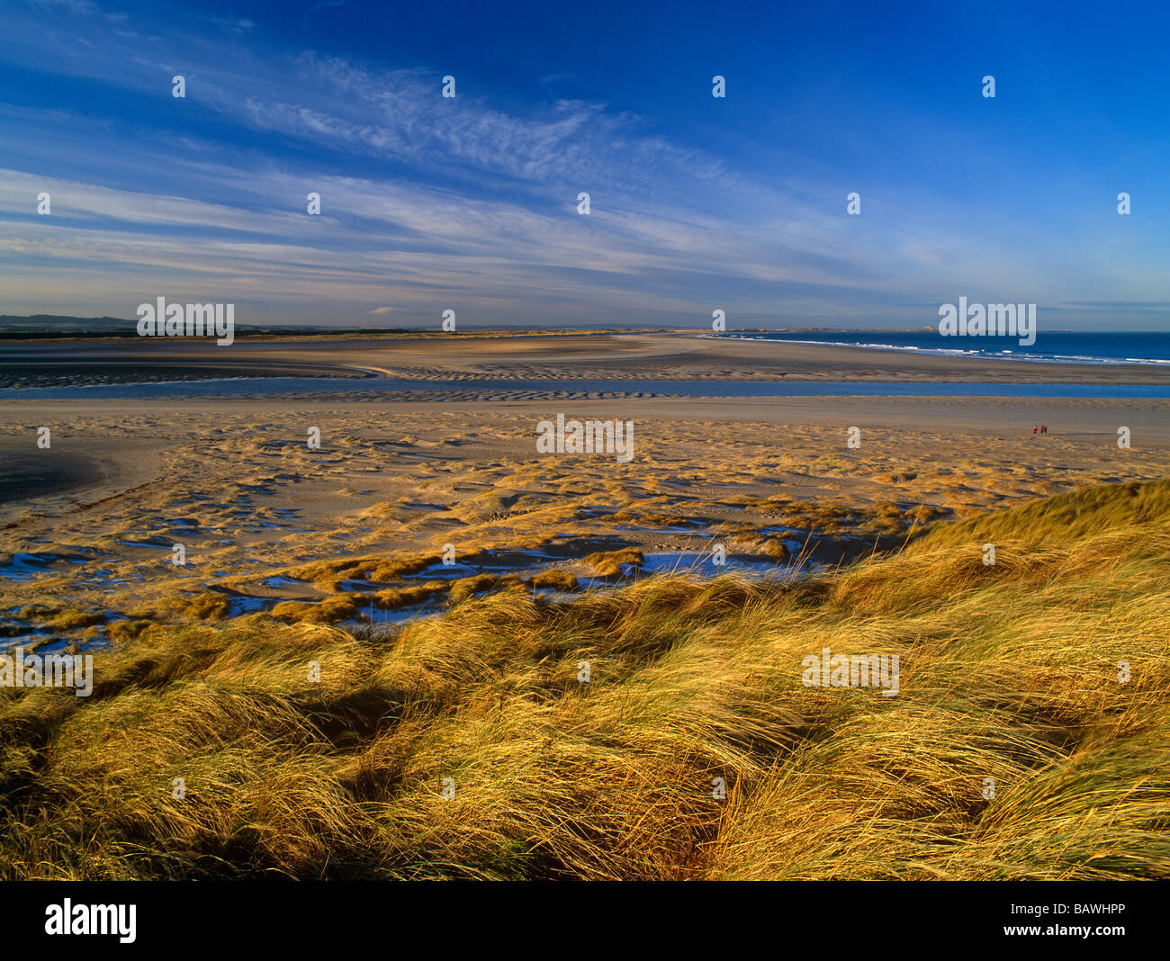 Budle bay hi-res stock photography and images - Alamy