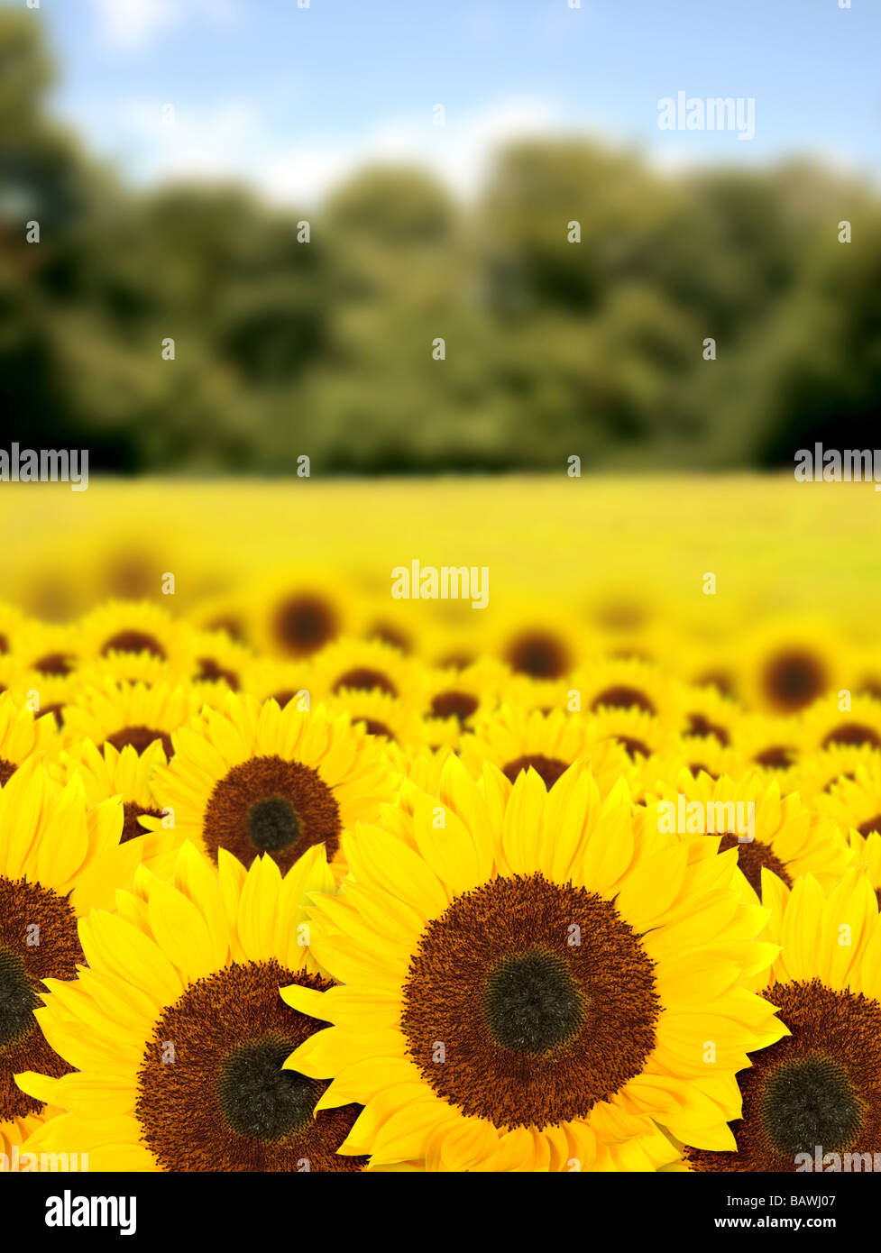 Garden flower bed designs hi-res stock photography and images - Alamy