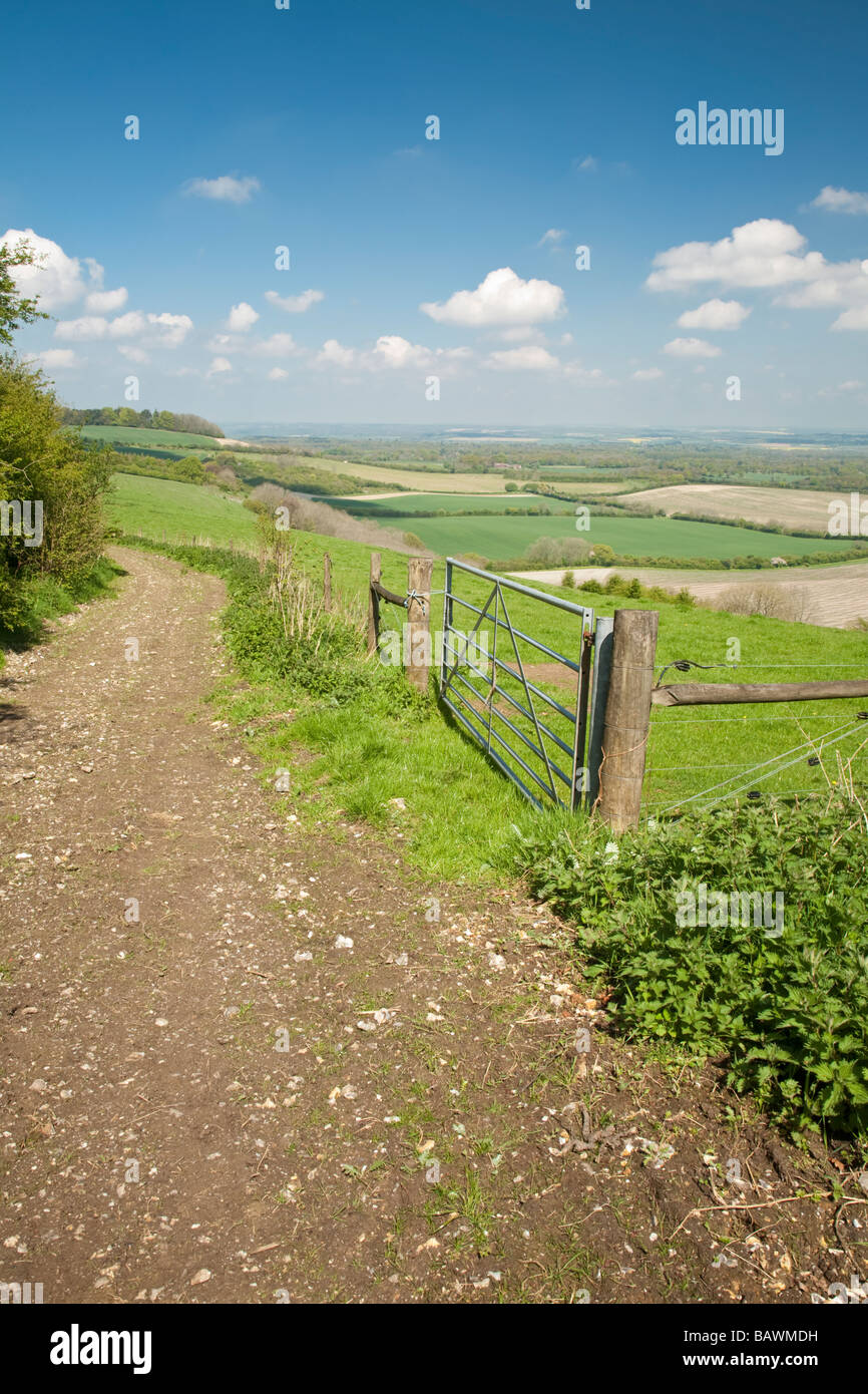 Walbury hill berkshire england hi-res stock photography and images - Alamy