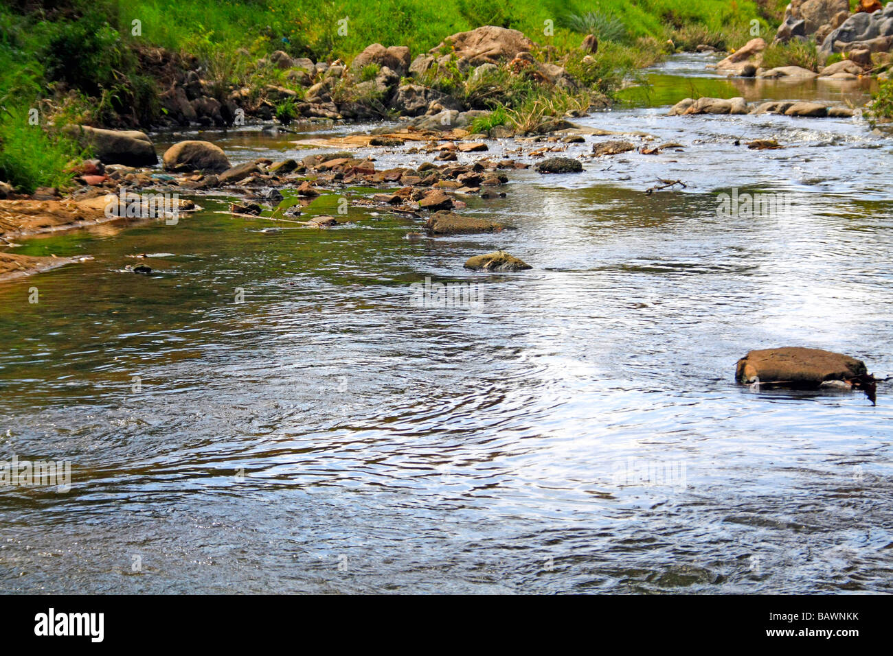 Wet stream banks hi-res stock photography and images - Alamy