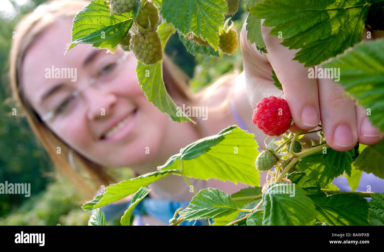 The girls strawberry patch hi-res stock photography and images - Alamy