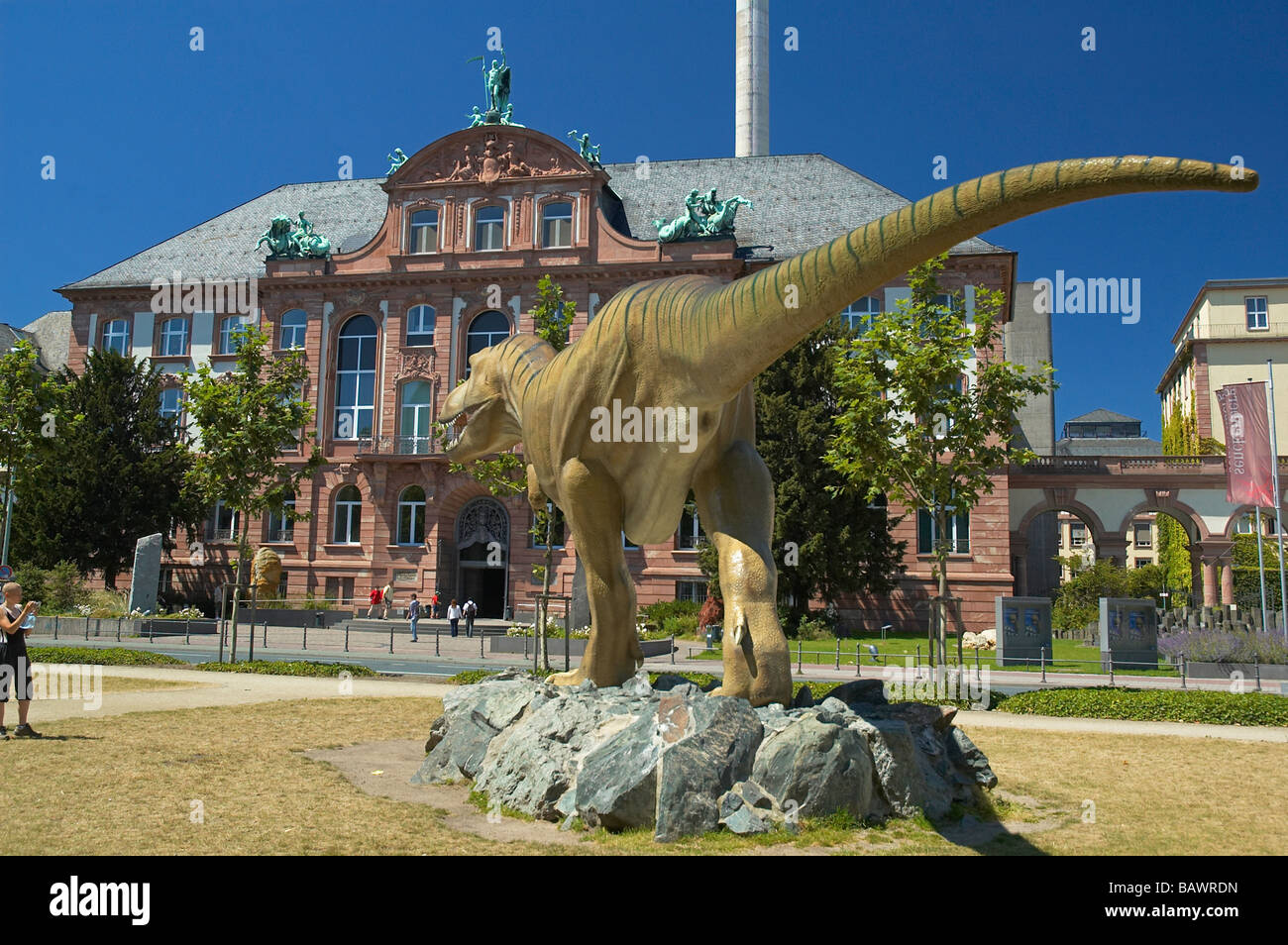 Senckenberg museum frankfurt hi-res stock photography and images - Alamy