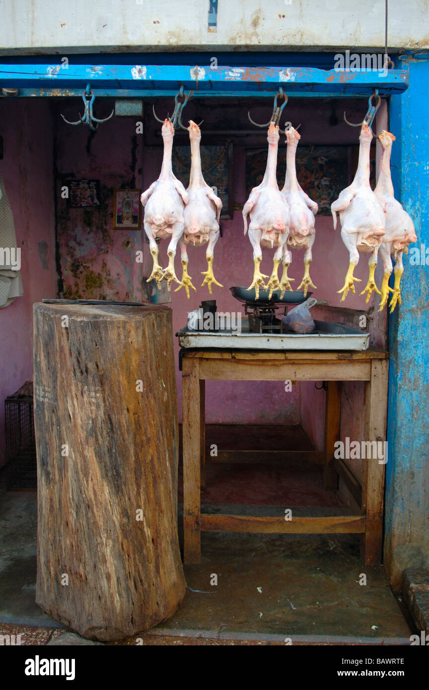 Butcher shop at Mysore market proudly presenting some dead chicken ...