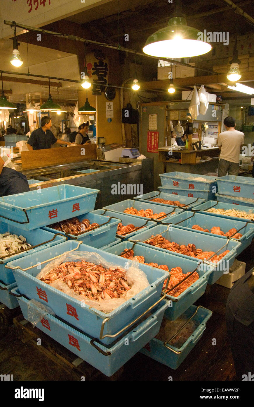 Workers in the Tsukiji fish market Tokyo Japan sell fresh fish Stock ...