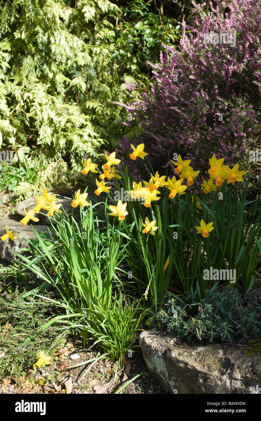 English flowers in spring hi-res stock photography and images - Alamy