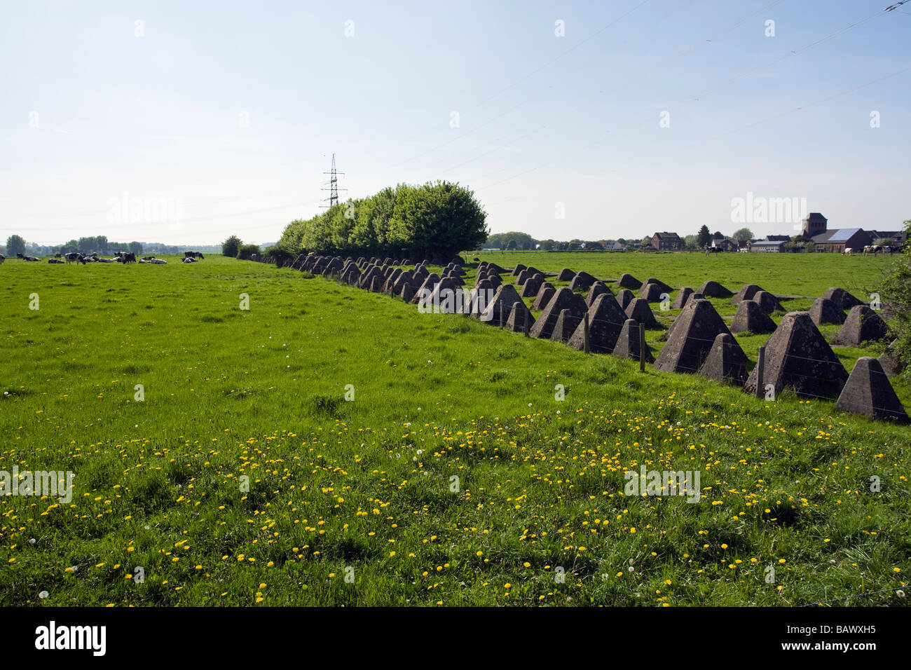 tank traps of the Siegfried Line, also known as Westwall, near ...