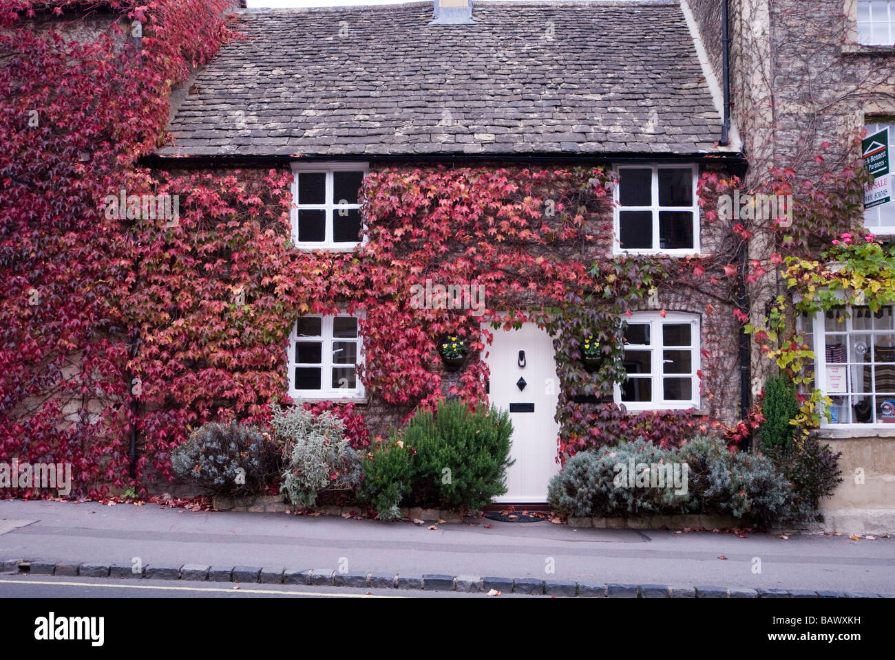 Cottage leaves hi-res stock photography and images - Alamy
