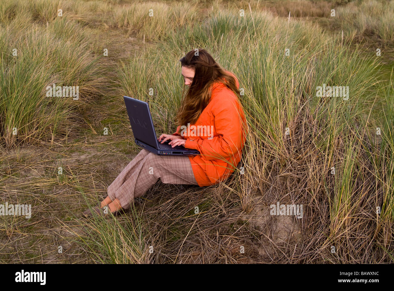 Girl using laptop in grass Stock Photo - Alamy