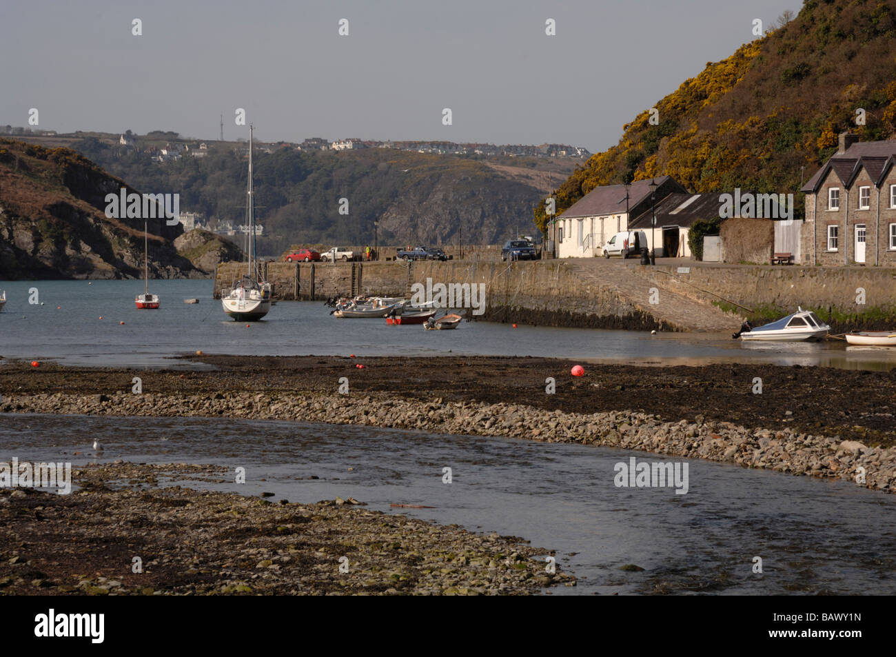 Lower Town, Fishguard, Pembrokeshire Stock Photo - Alamy