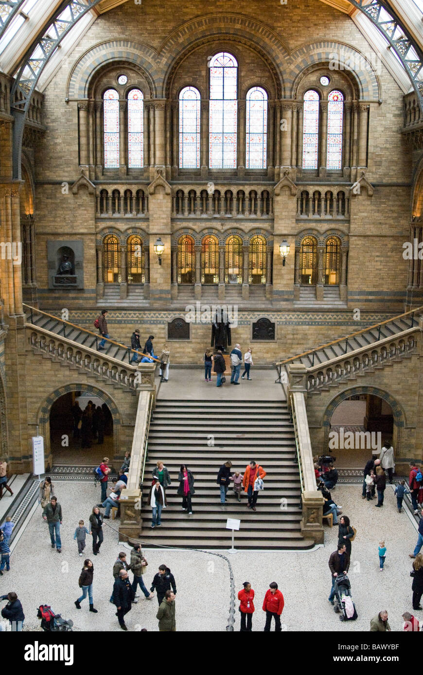 Natural History Museum London Interior Stock Photo Alamy