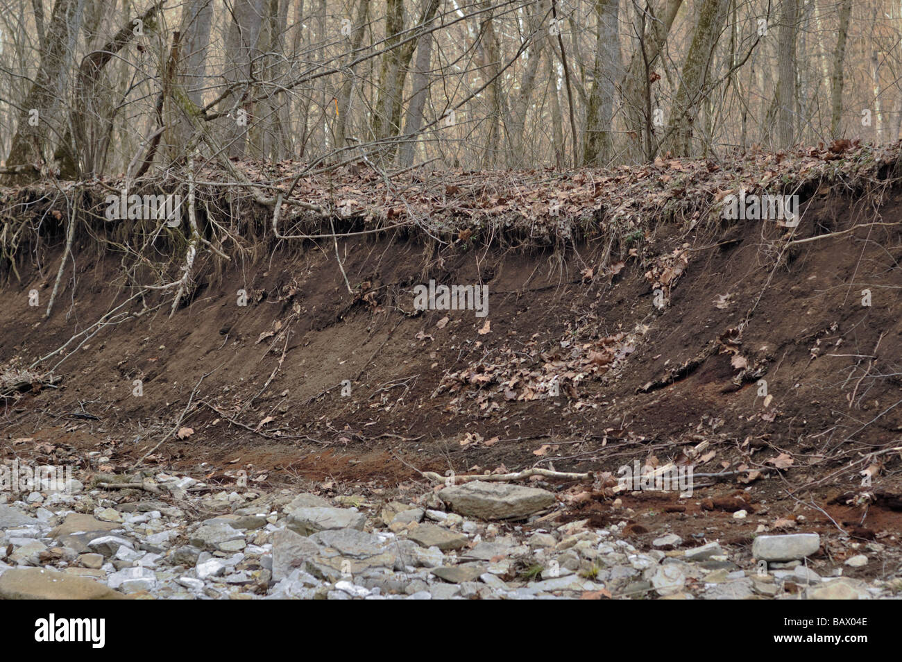 Eroded stream bank Stock Photo - Alamy