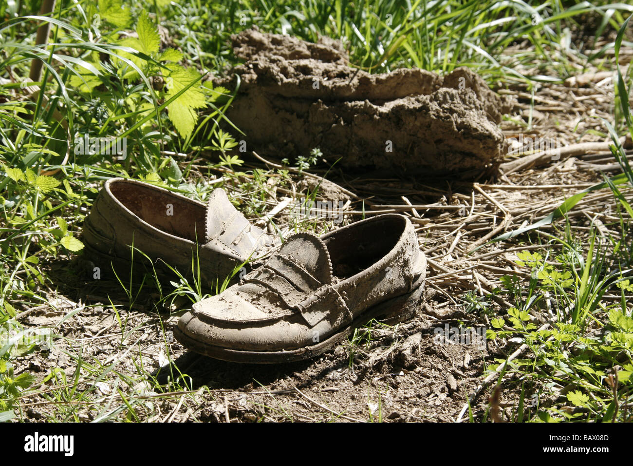 a pair of brown shoes covered with mud in field Stock Photo - Alamy