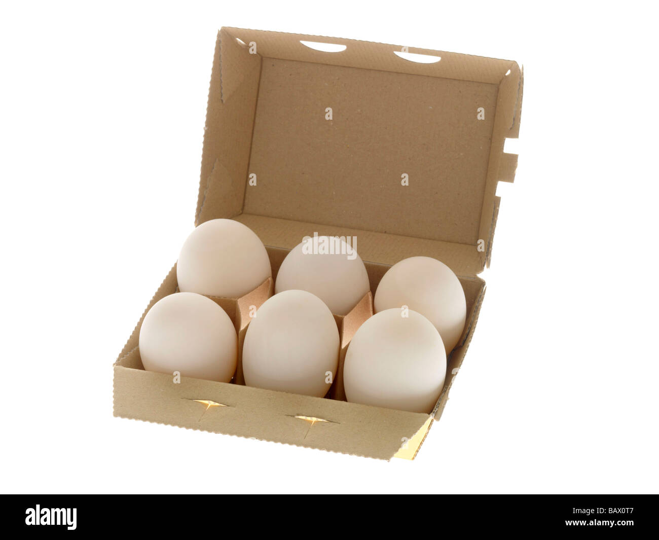 Carton Egg Whites Fitday