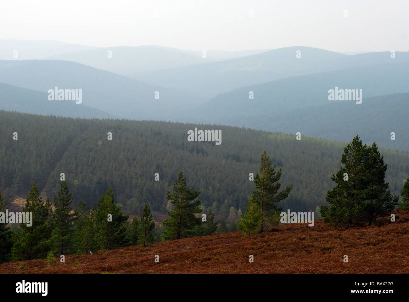 Scottish misty mountains hi-res stock photography and images - Alamy