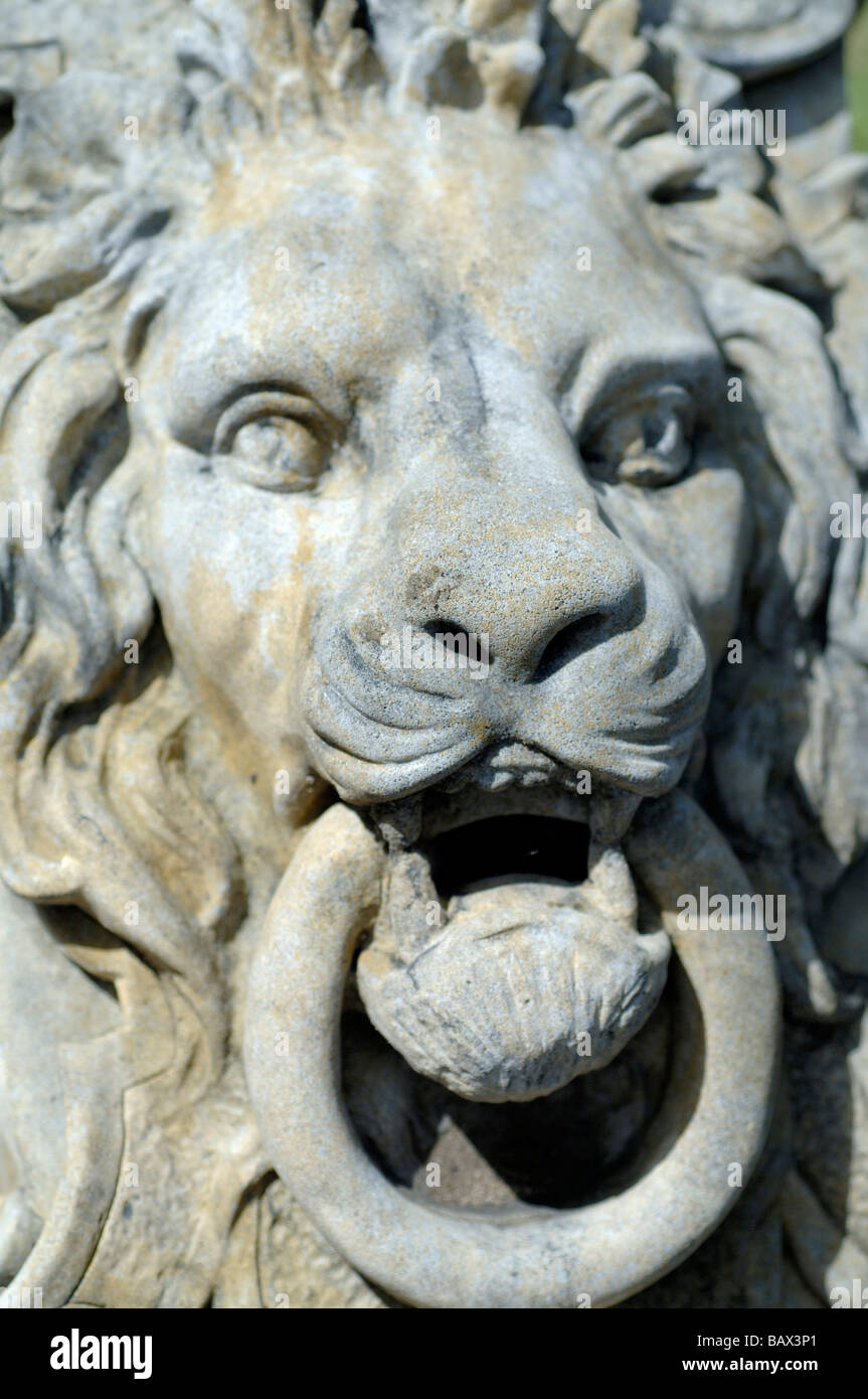 Lionss head hi-res stock photography and images - Alamy