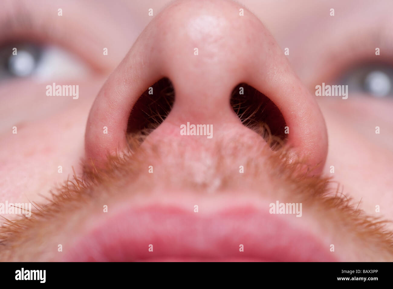 Mans Nostrells , Nose Stock Photo - Alamy