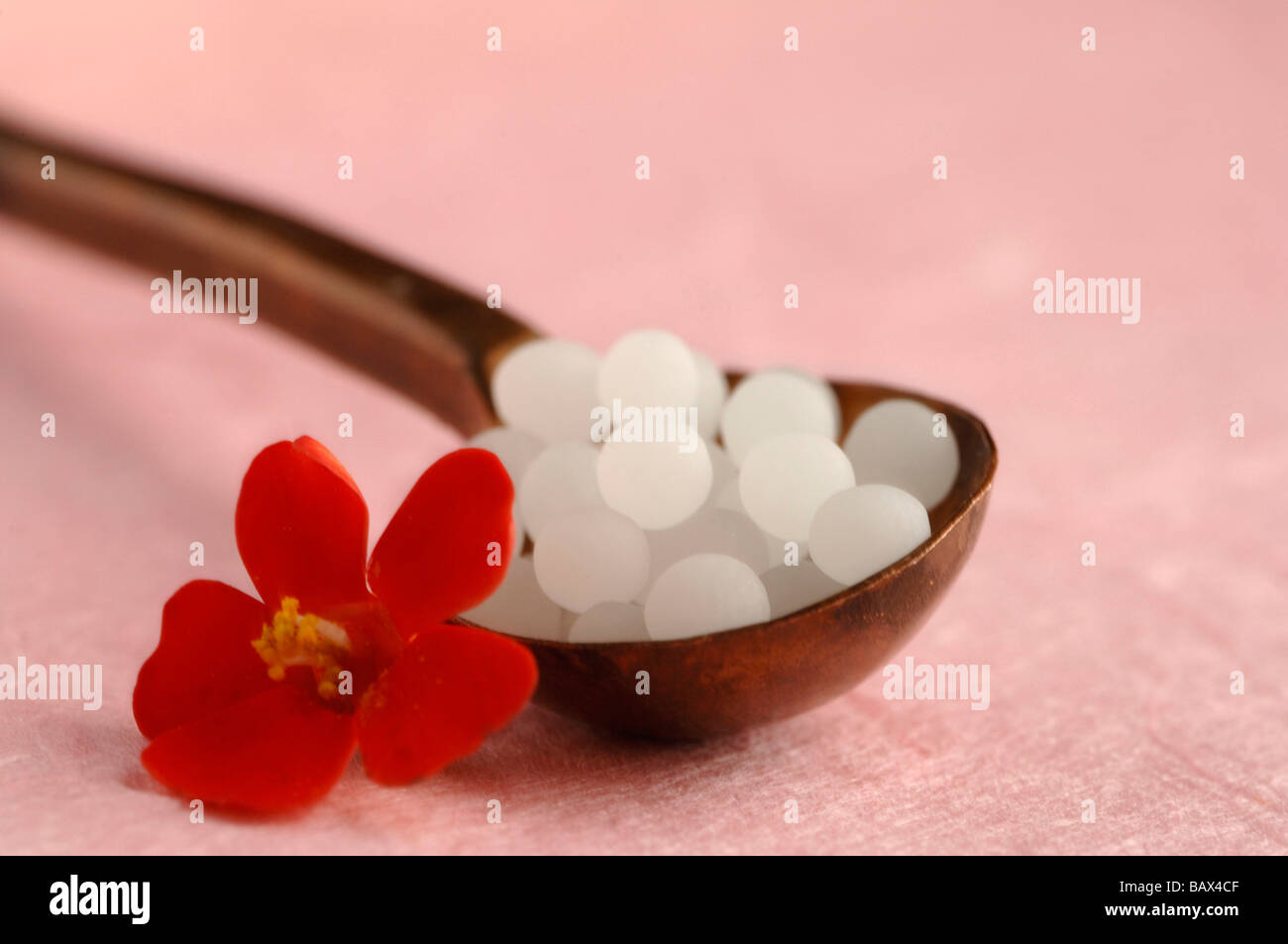 Medicinal plants foto hi-res stock photography and images - Alamy