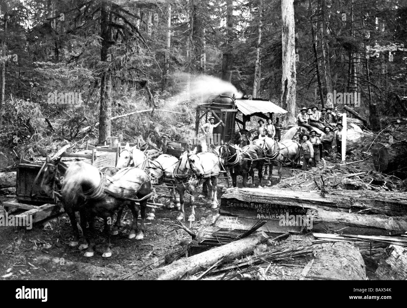 Loggers and Their Logs Stock Photo - Alamy
