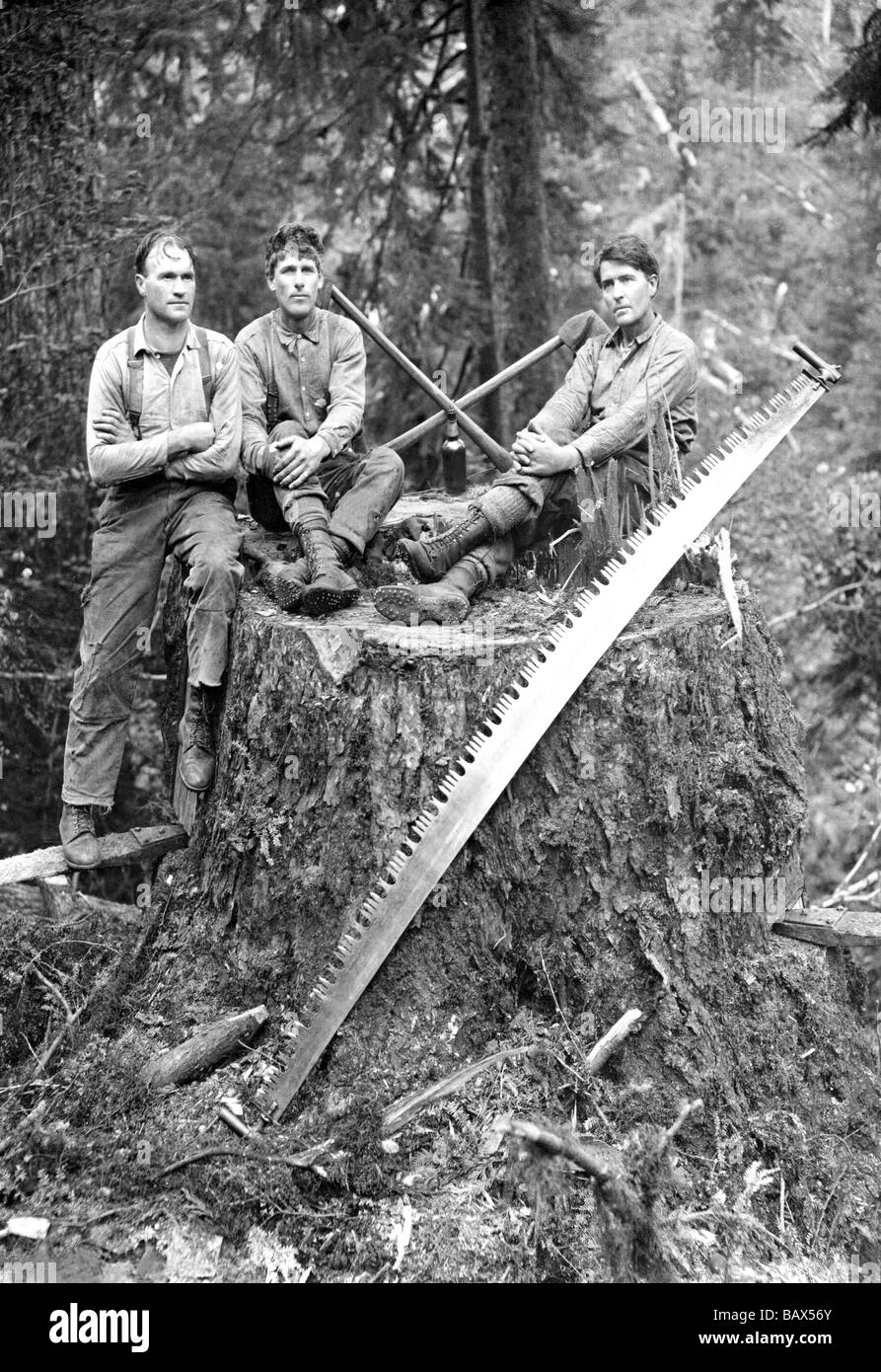 Drag saw hi-res stock photography and images - Alamy