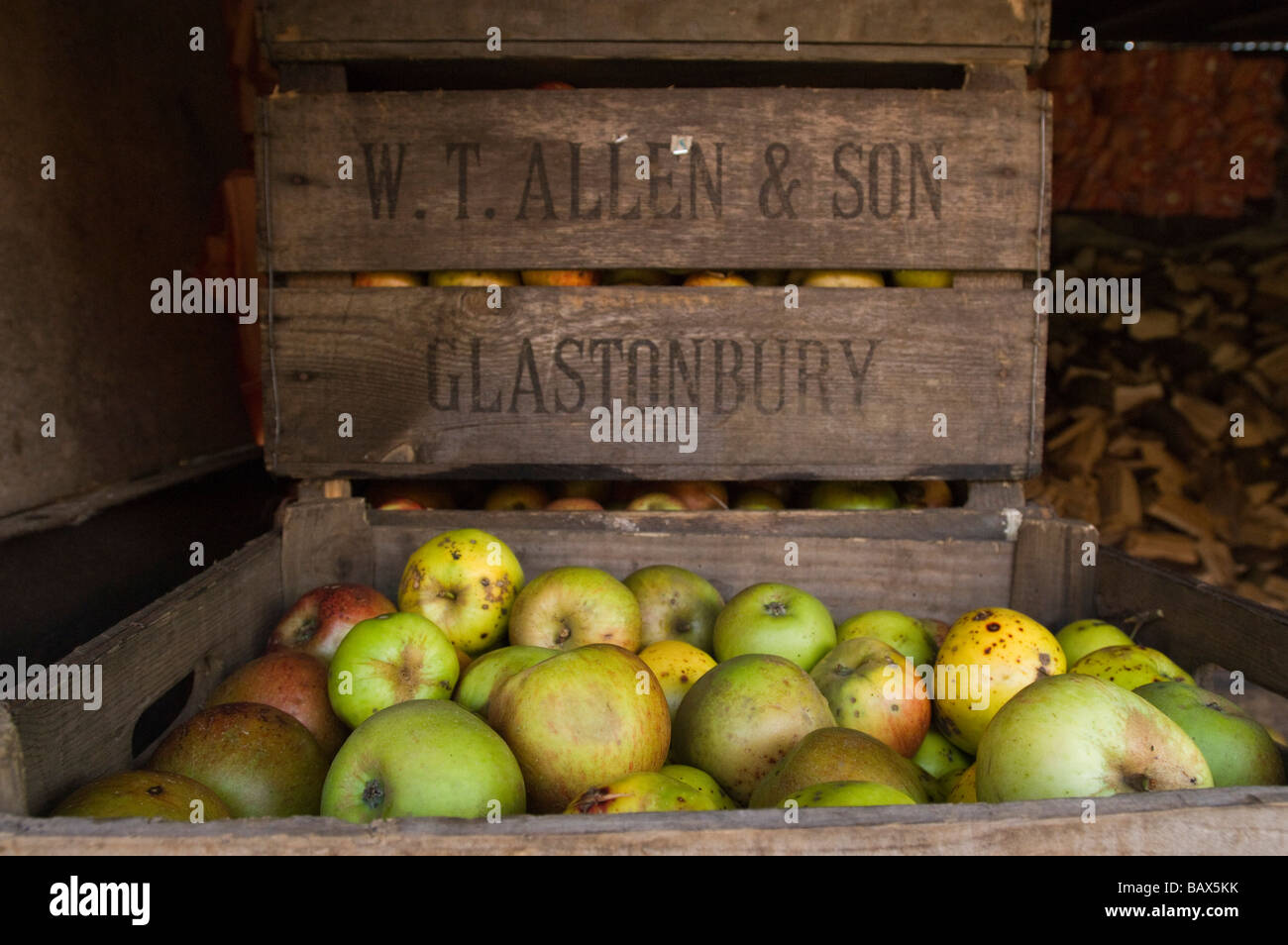 Cider apples in wooden crates ready for crushing Hecks Cider Street ...