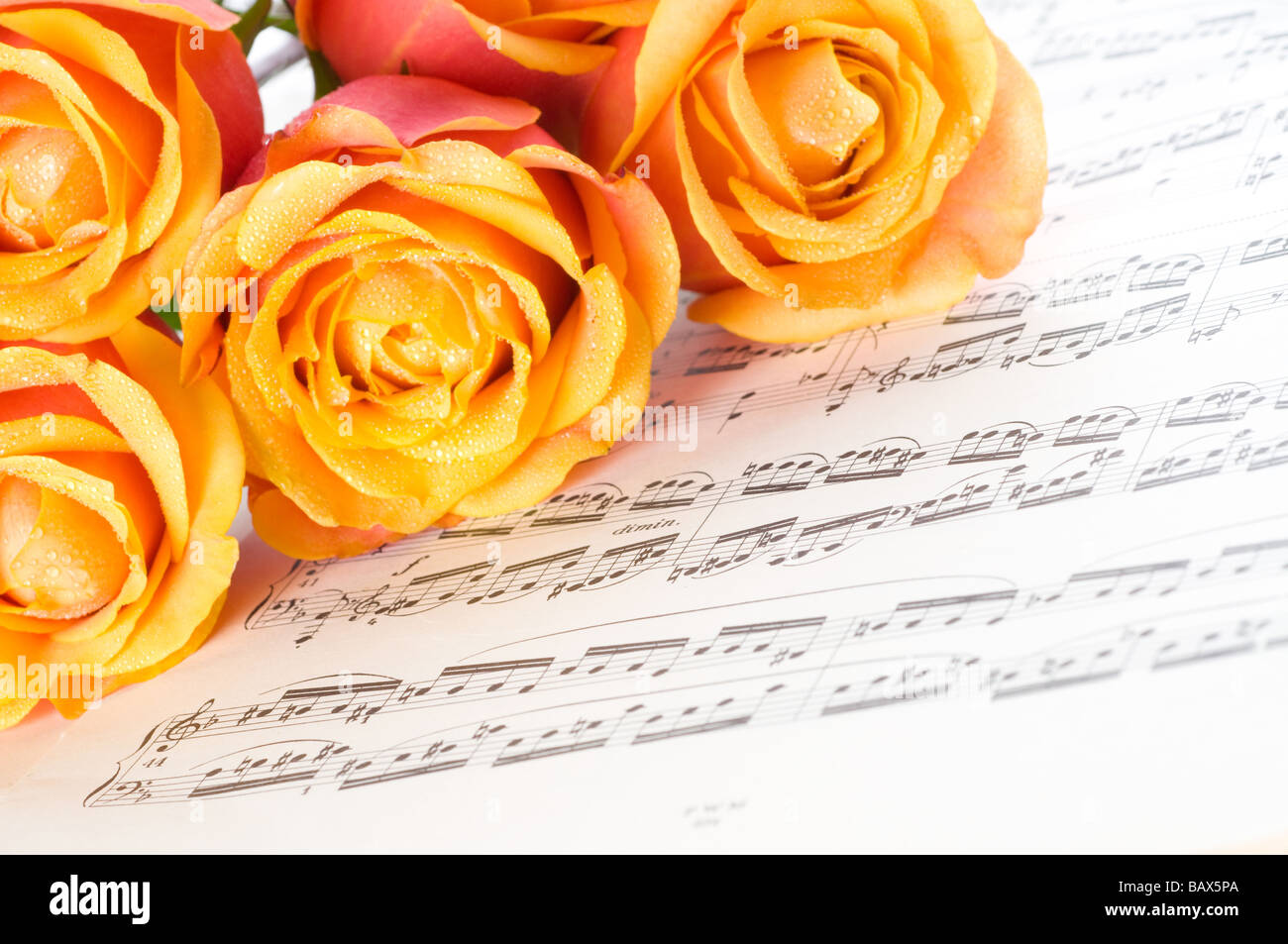 Musical sheet and flowers of roses Stock Photo - Alamy