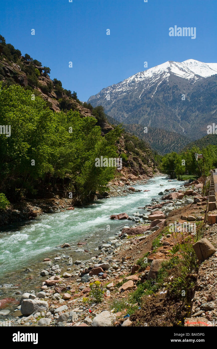 Spring in morocco hi-res stock photography and images - Alamy