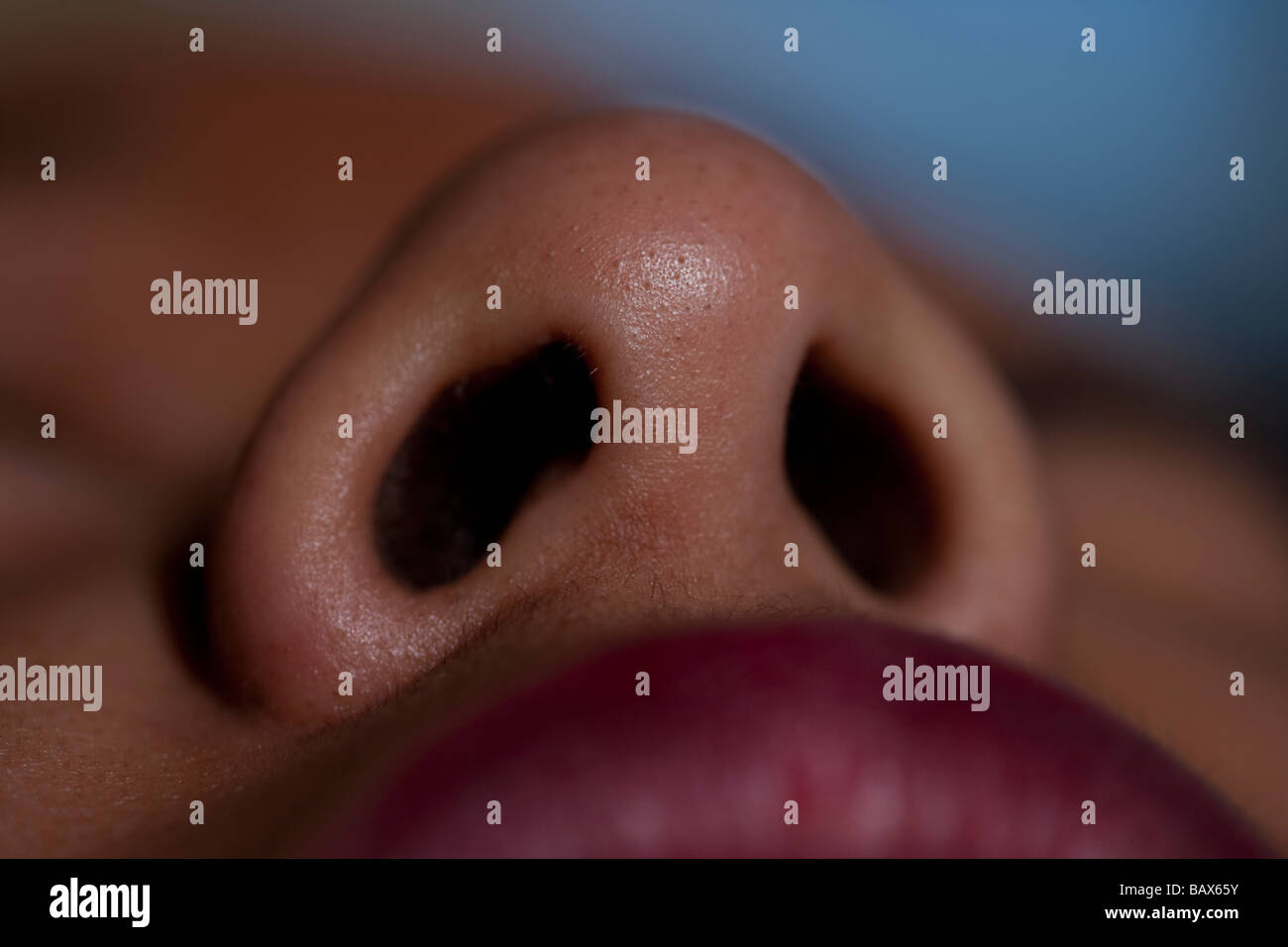 womans nose view from below Stock Photo - Alamy