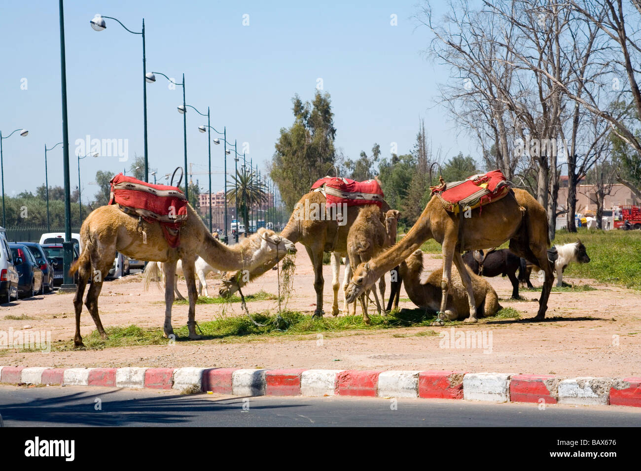 90439 hi-res stock photography and images - Alamy