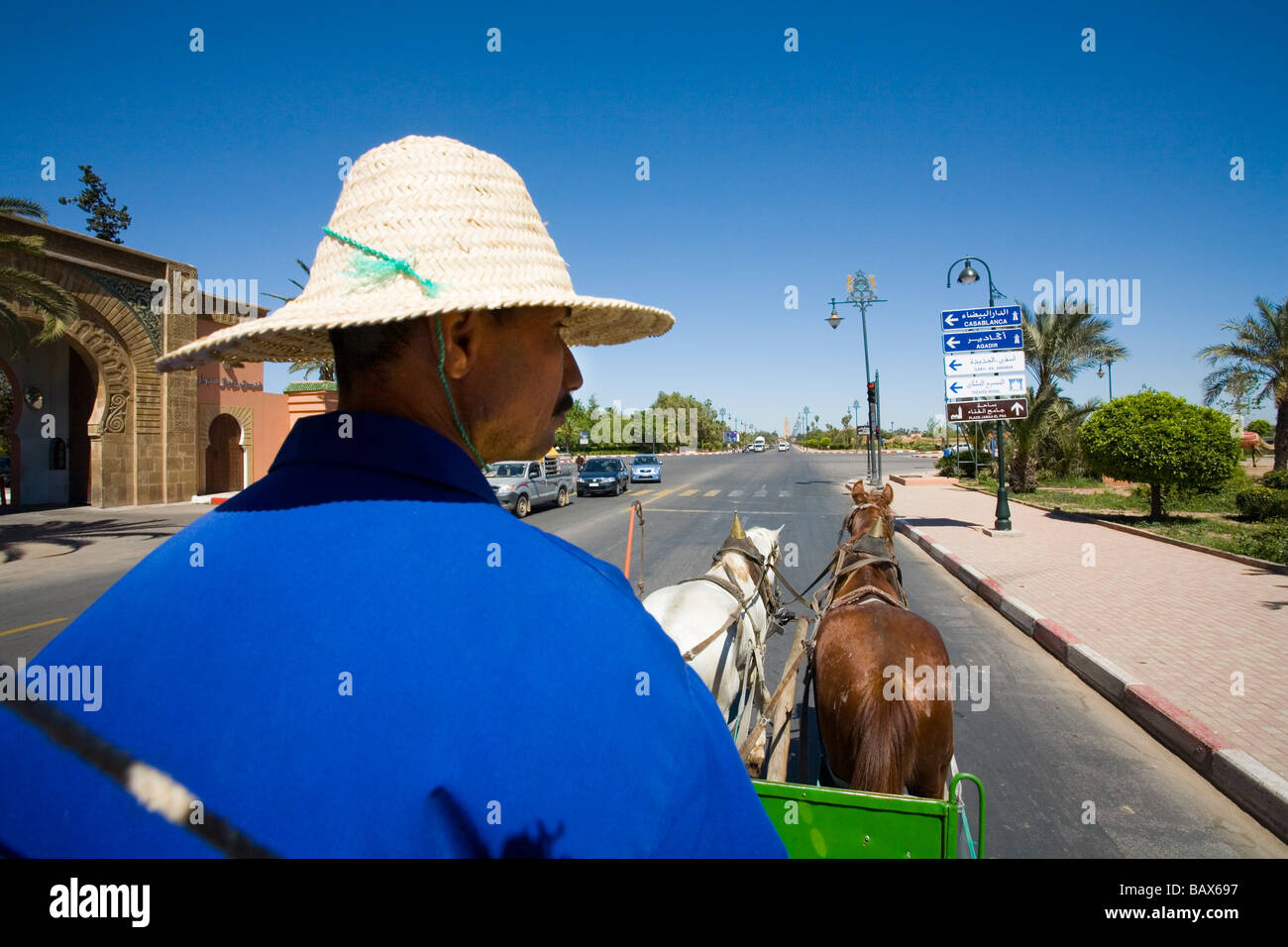 Driving a Caleche with horses in Marrakech Morocco as used for tourist ...