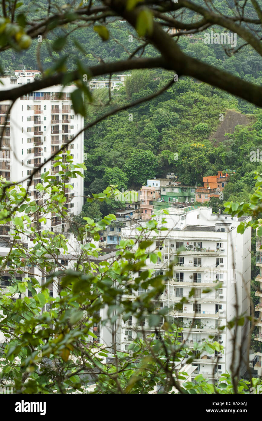 High rise apartment building seen through trees with slum in background ...