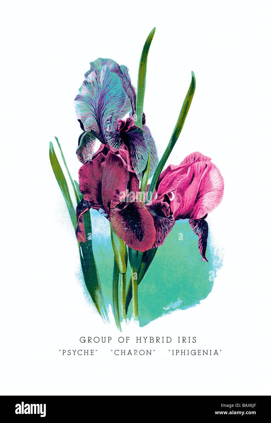 Charon and psyche hi-res stock photography and images - Alamy