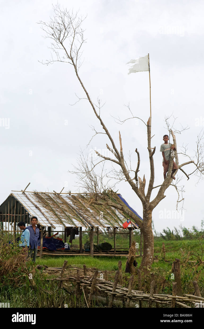 A boy stand on a tree in the delta after Cyclone Nargis struck Myanmar ...