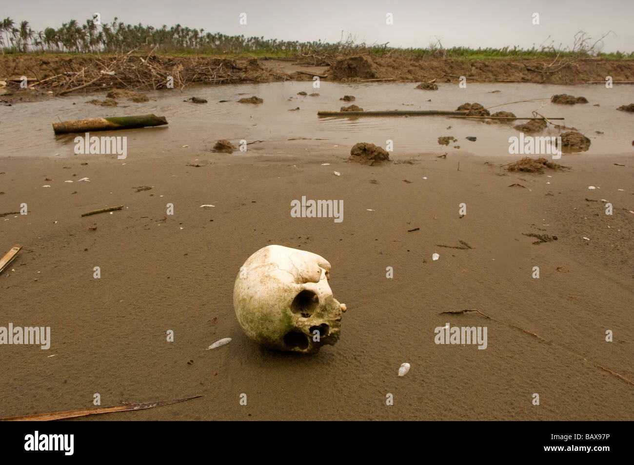 Remains of a body on the beach in Gongi South Labutta after Cyclone ...