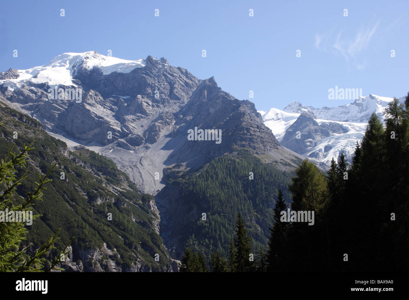 Passo dello Stelvio: Ortler Alps & pines Stock Photo - Alamy