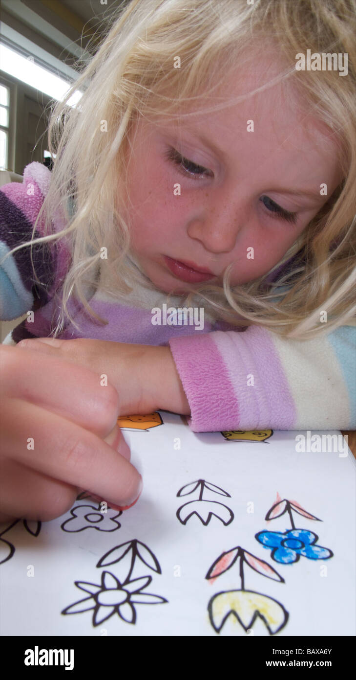 girl drawing and colouring and doing homework at home Stock Photo - Alamy
