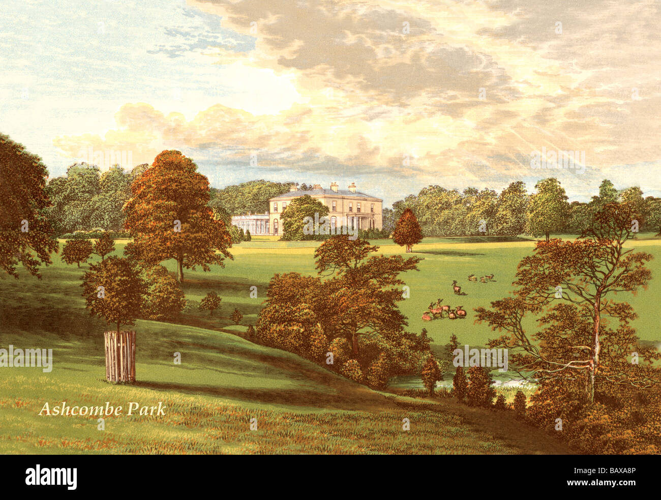 Ashcombe park hi-res stock photography and images - Alamy