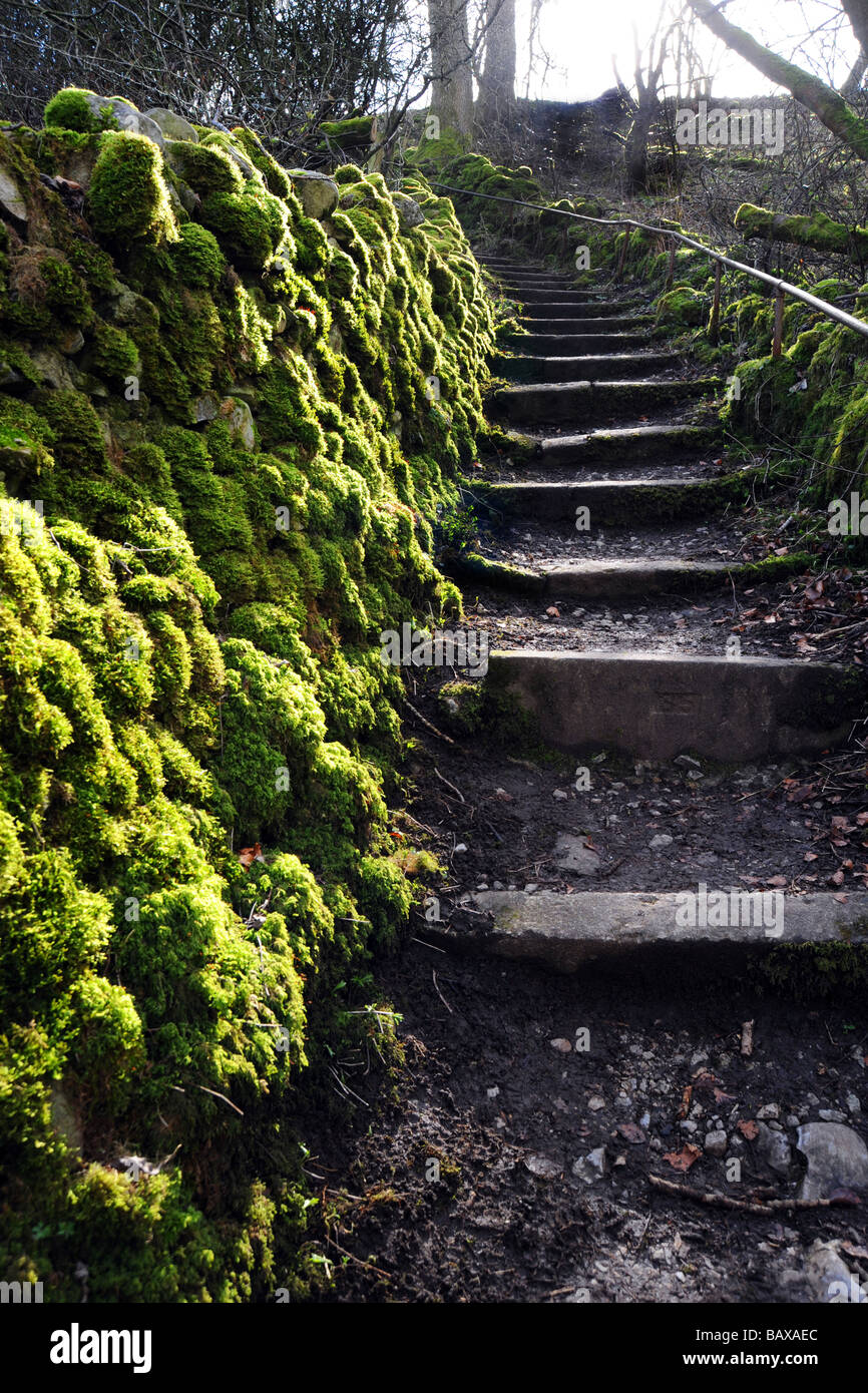 A stone stair path leading upwards, Yorkshire Dales UK Stock Photo - Alamy