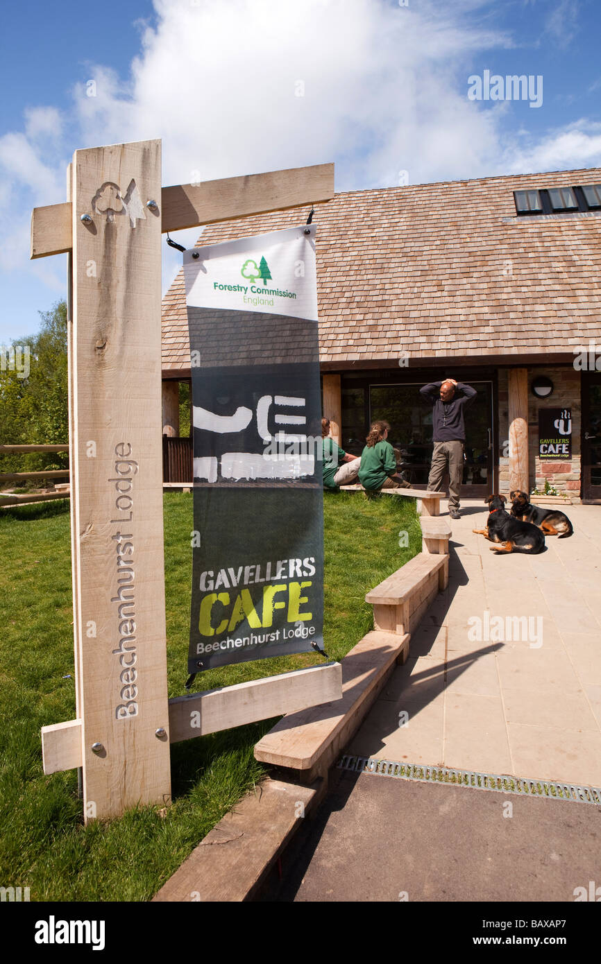 UK Gloucestershire Forest of Dean Beechenhurst Lodge Forest Commission ...