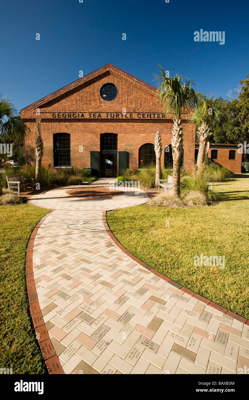 Georgia Sea Turtle Center - Jekyll Island, Georgia Stock Photo - Alamy